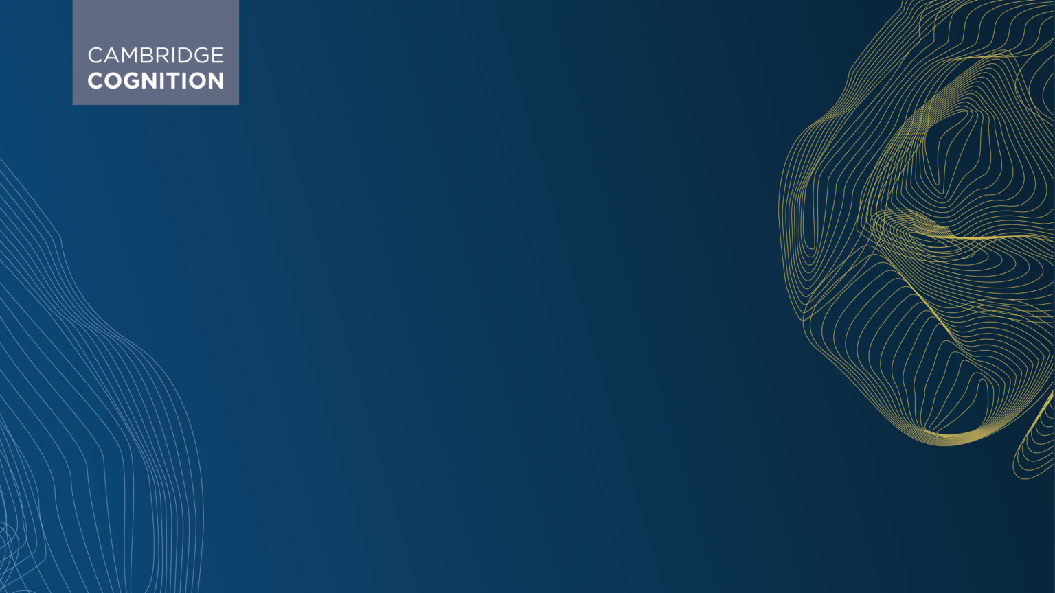 Intra-Extra Dimensional Set Shift (IED) - Cambridge Cognition